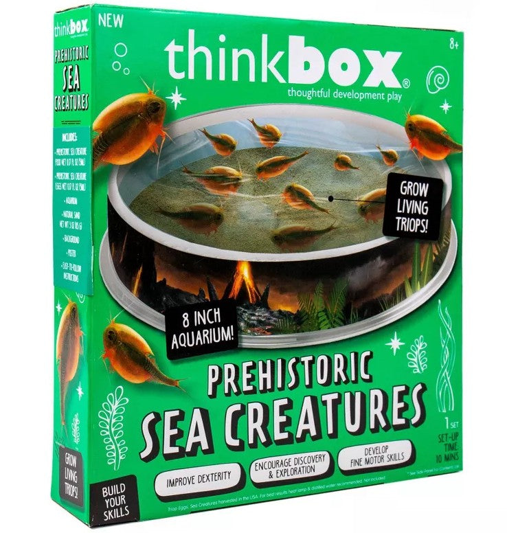Thinkbox Prehistoric Sea Creatures – Lincraft New Zealand